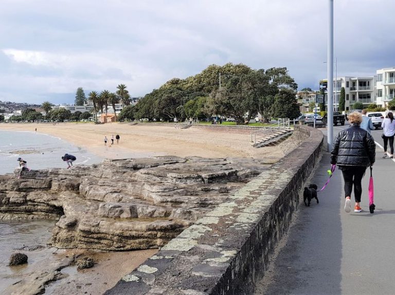 Auckland walks and hiking guide | Best walks in Auckland