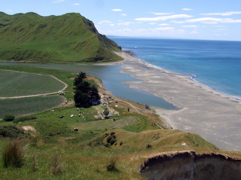 White Pine Bush Reserve Walkway is a free walk in Napier | Best walk ...