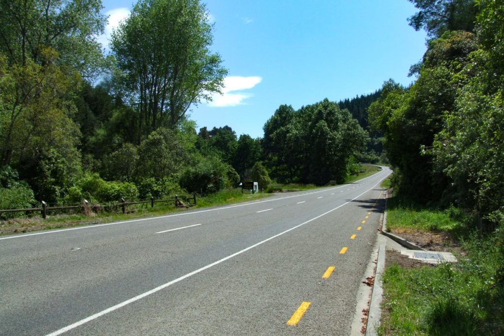 White Pine Bush Reserve Walkway is a free walk in Napier | Best walk ...