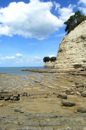 Long Bay Regional Park Coastal Walk | Freewalks.nz