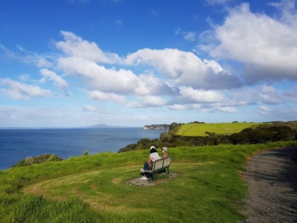 Auckland walks and hiking guide | Best walks in Auckland