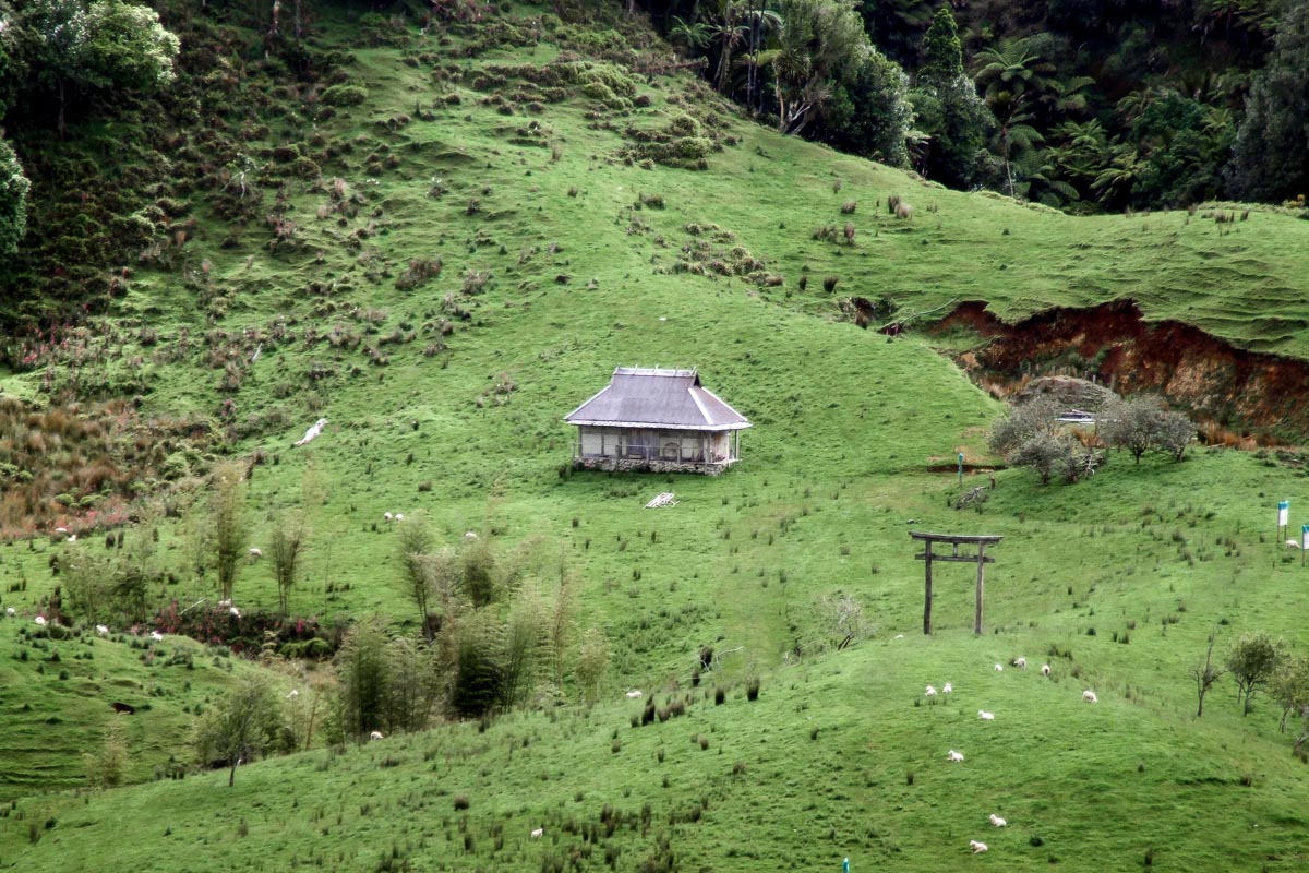 The Last Samurai Movie, Scenic Drive is a free walk in New Plymouth ...