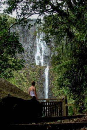 Wairere Falls Walk is a free walk near Matamata by Freewalk.nz
