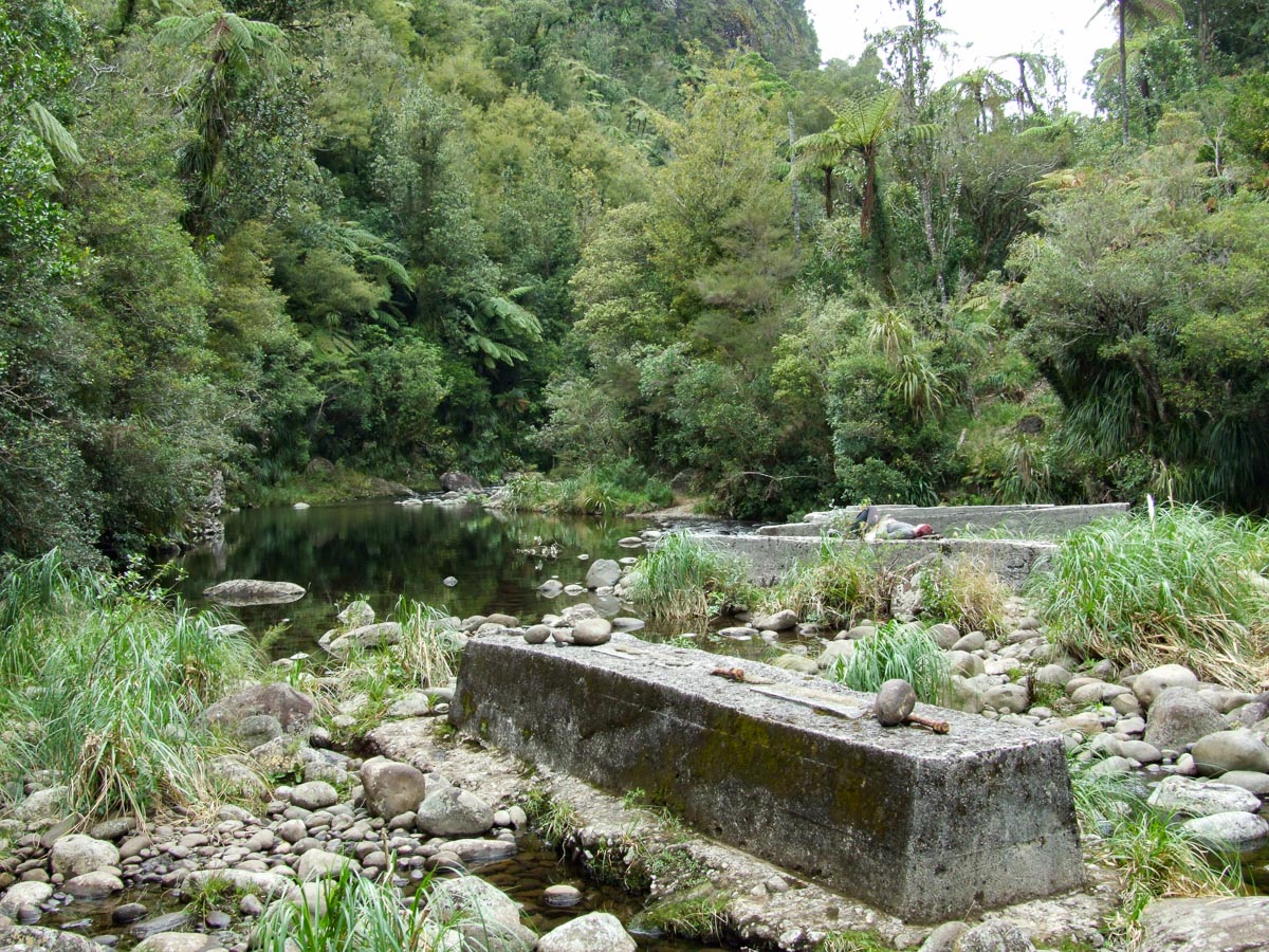 Waitawheta Hut via The Tram Line - Tramway is a free walk in Waihi ...