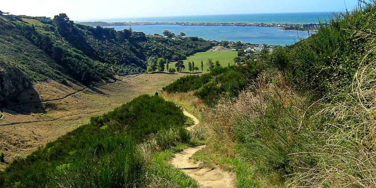 Christchurch Walks and Hiking Guide by Freewalks.nz