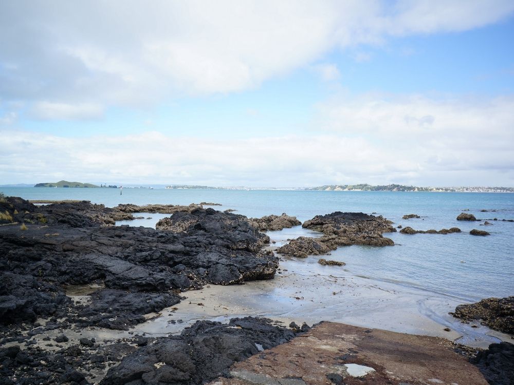 Herald Island Path on the North Shore in Auckland by Freewalks.nz
