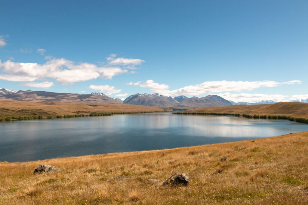 Lake Alexandrina and McGregor Walks | Freewalks.nz