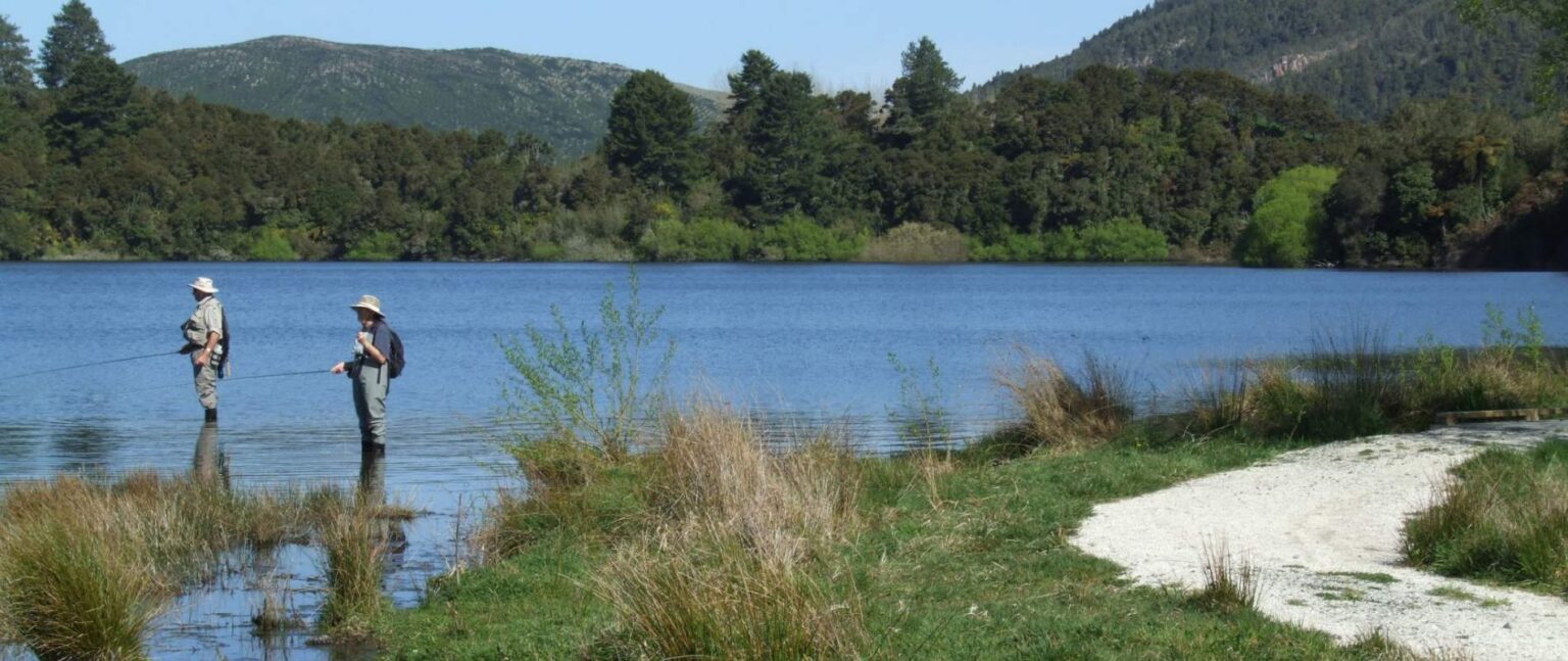 Rotorua Walks | Freewalks.nz