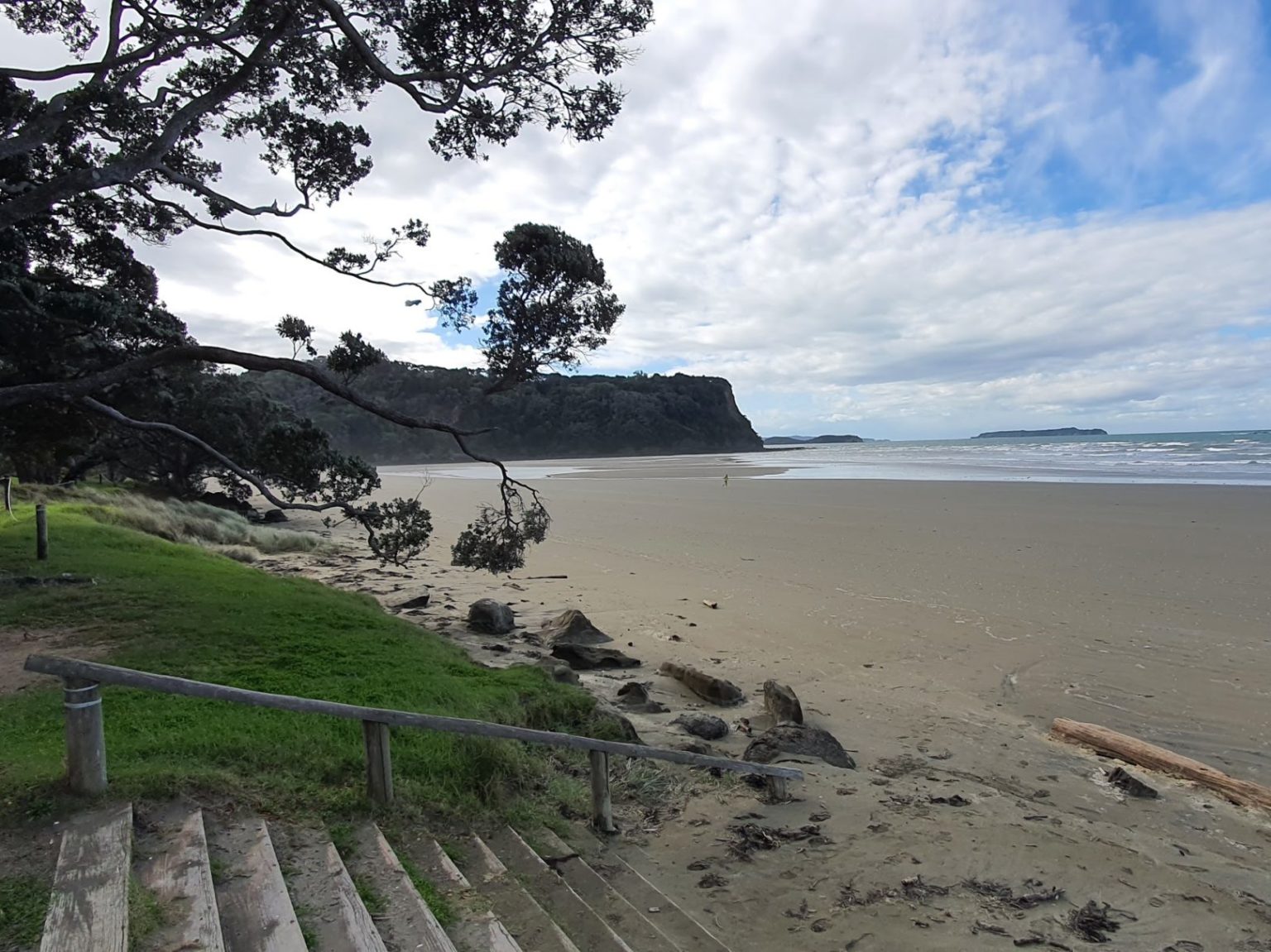 Herald Island Path on the North Shore in Auckland by Freewalks.nz