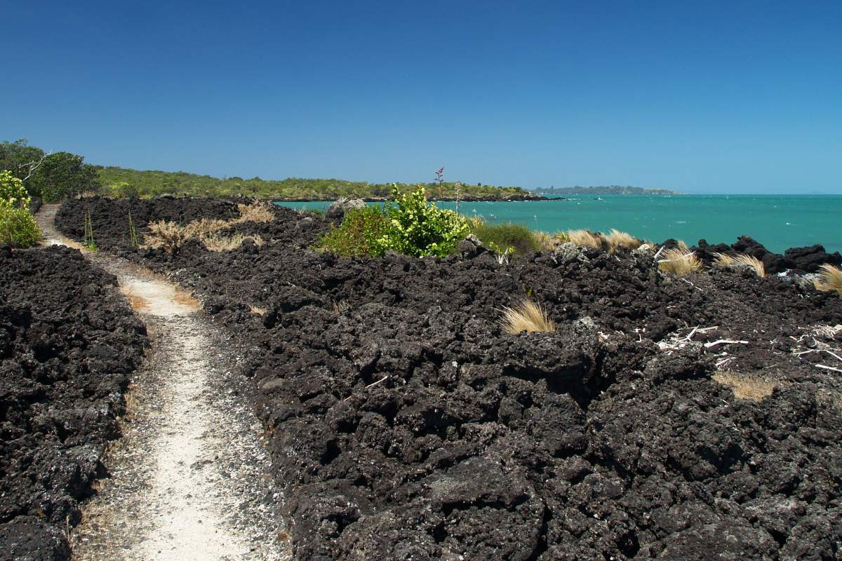 Rangitoto Island Track and Summit Walk | Freewalks.nz