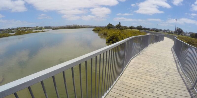 Herald Island Path on the North Shore in Auckland by Freewalks.nz