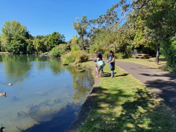 Parnell Rose Gardens Loop with Views and Beautiful Scents - Freewalks.nz