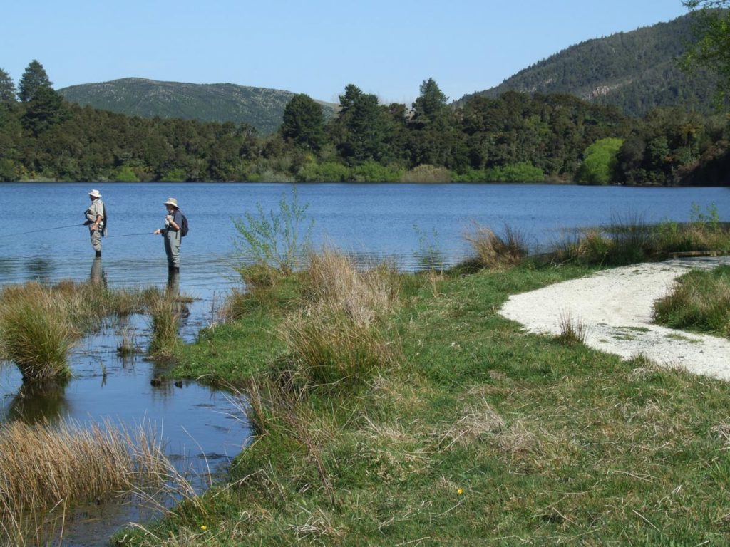 The best walking & hiking tracks in Rotorua | North Island