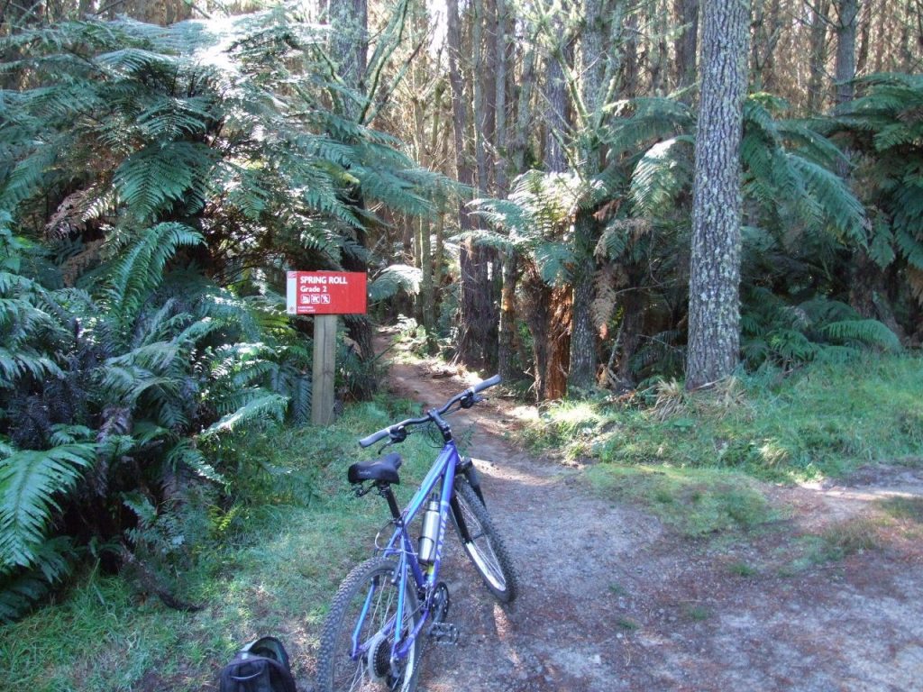 The best walking & hiking tracks in Rotorua | North Island