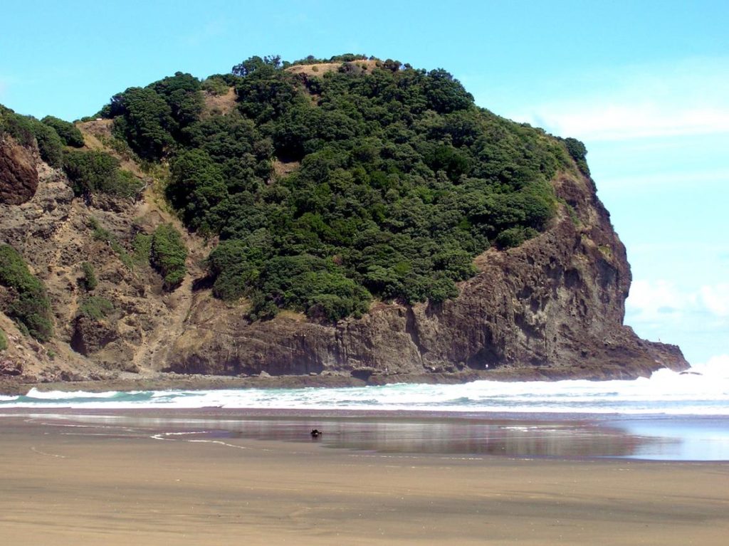 The best walking & hiking tracks in Piha | North Island