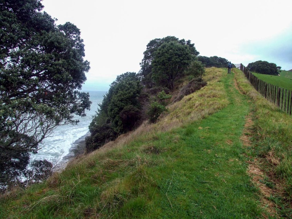 Auckland Region walks and hiking guide by Freewalks.nz