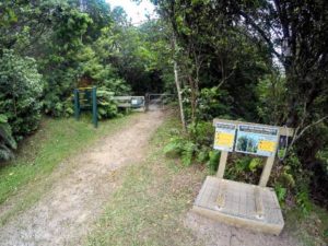 Tuahu Track Walk to the Summit of the Kaimai Ranges, by Freewalks.nz