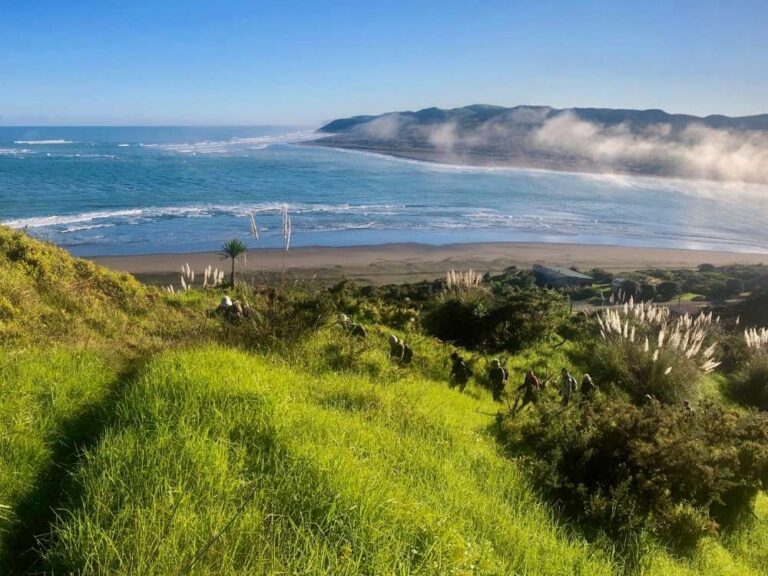 Bridal Veil Falls Walk | Raglan Walks | Freewalks.nz