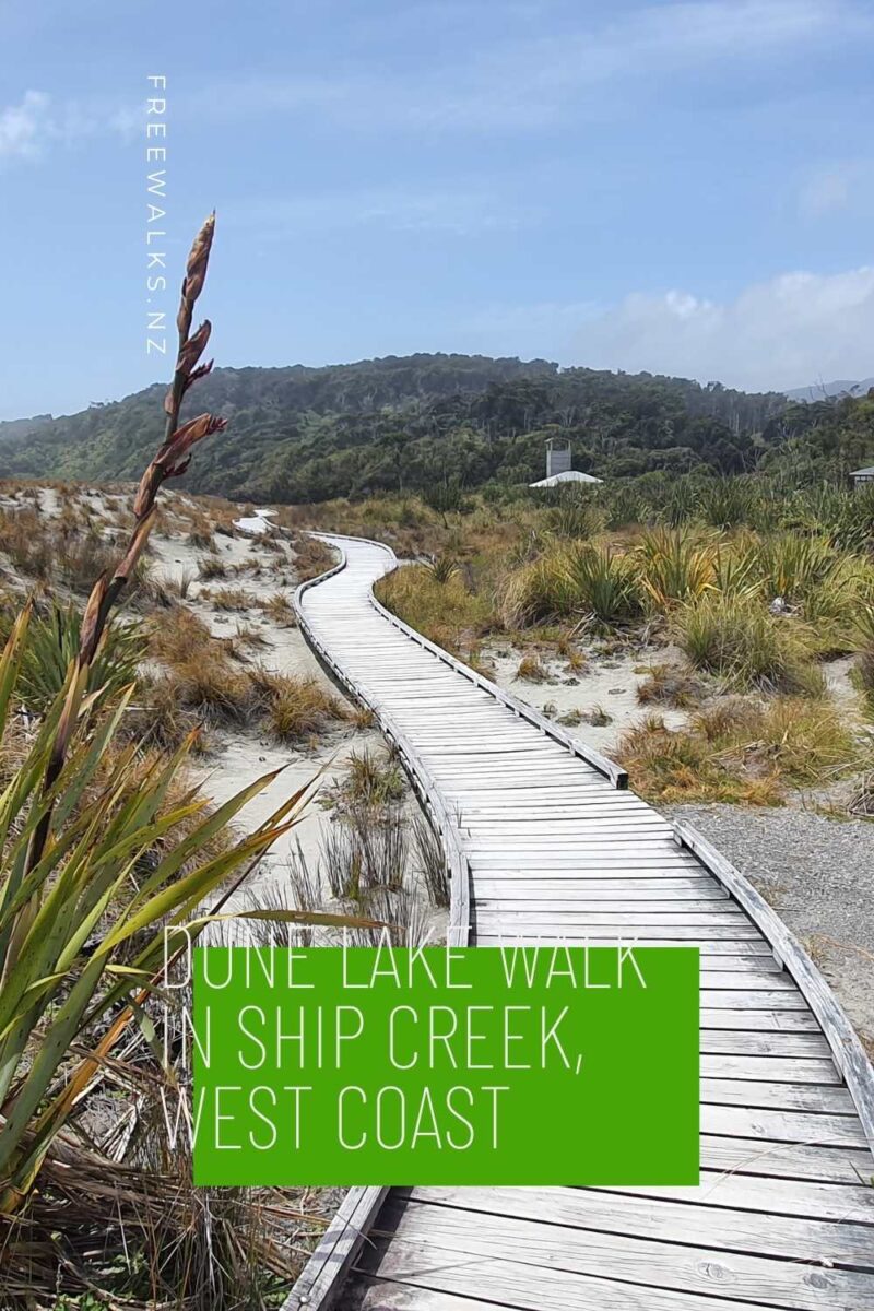 Kahikatea Swamp Forest Walk at Ship Creek | Freewalks.nz