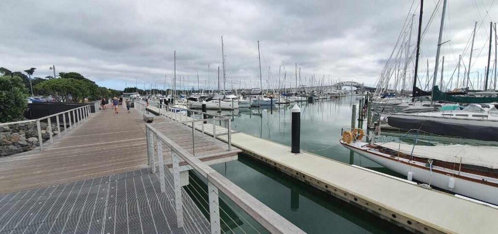 Westhaven Path Loop Walk | Short Auckland Walk | Freewalks.nz