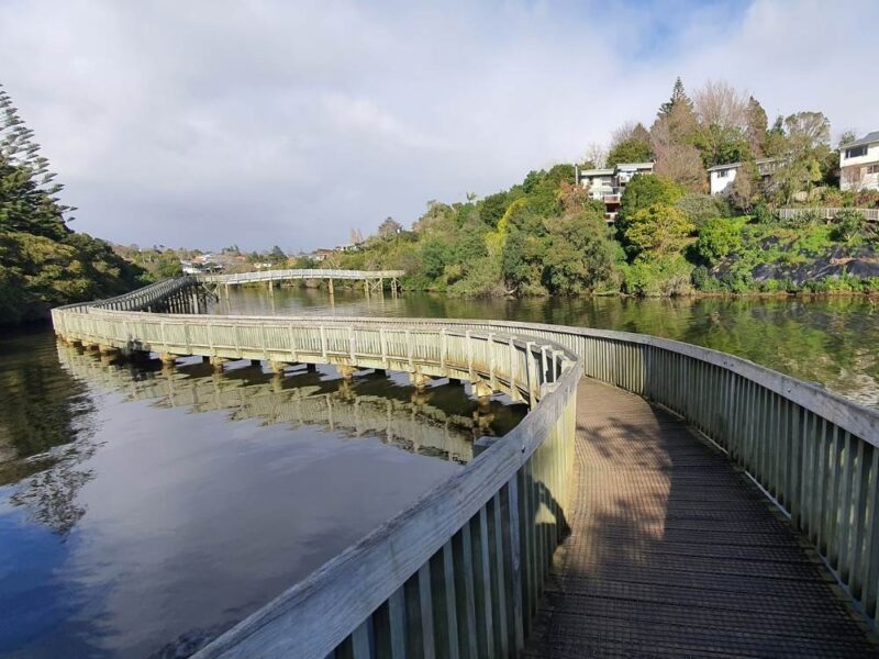 Auckland walks and hiking guide | Best walks in Auckland