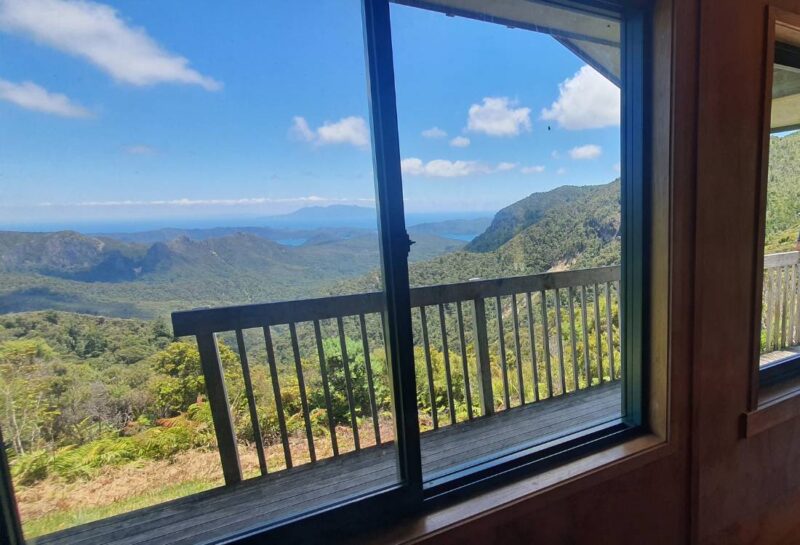 Mt Hobson Summit Loop Track on Great Barrier Island | Freewalks.nz