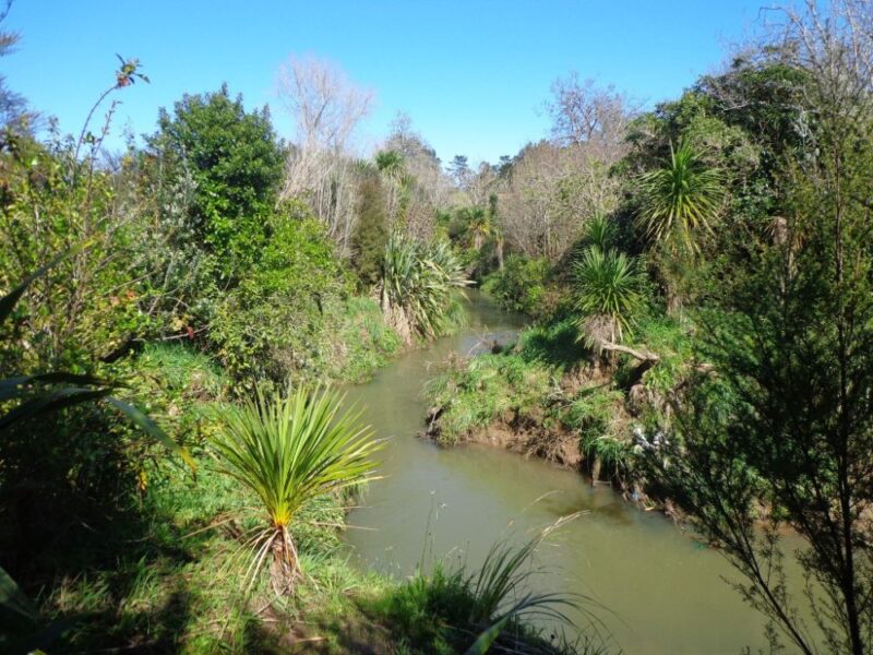 Glen Eden and Waikumete Cemetery Circuit Walk - Freewalks.nz