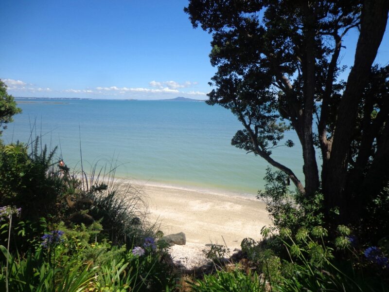 East Auckland Walks by Freewalks.nz