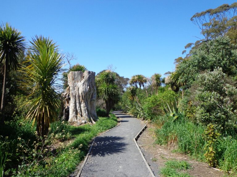 West Auckland Walks by Freewalks.nz