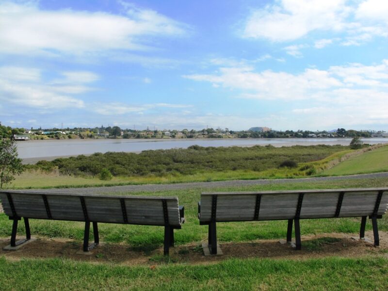 Mangere Bridge Loop Walk - Freewalks.nz