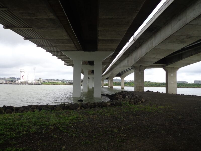 Mangere Bridge Walks - Freewalks.nz
