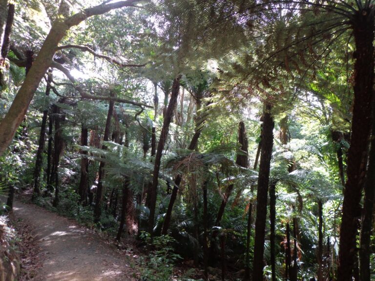 Highbrook Park Loop - Freewalks.nz