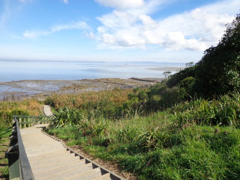 Mangere Bridge Loop Walk - Freewalks.nz