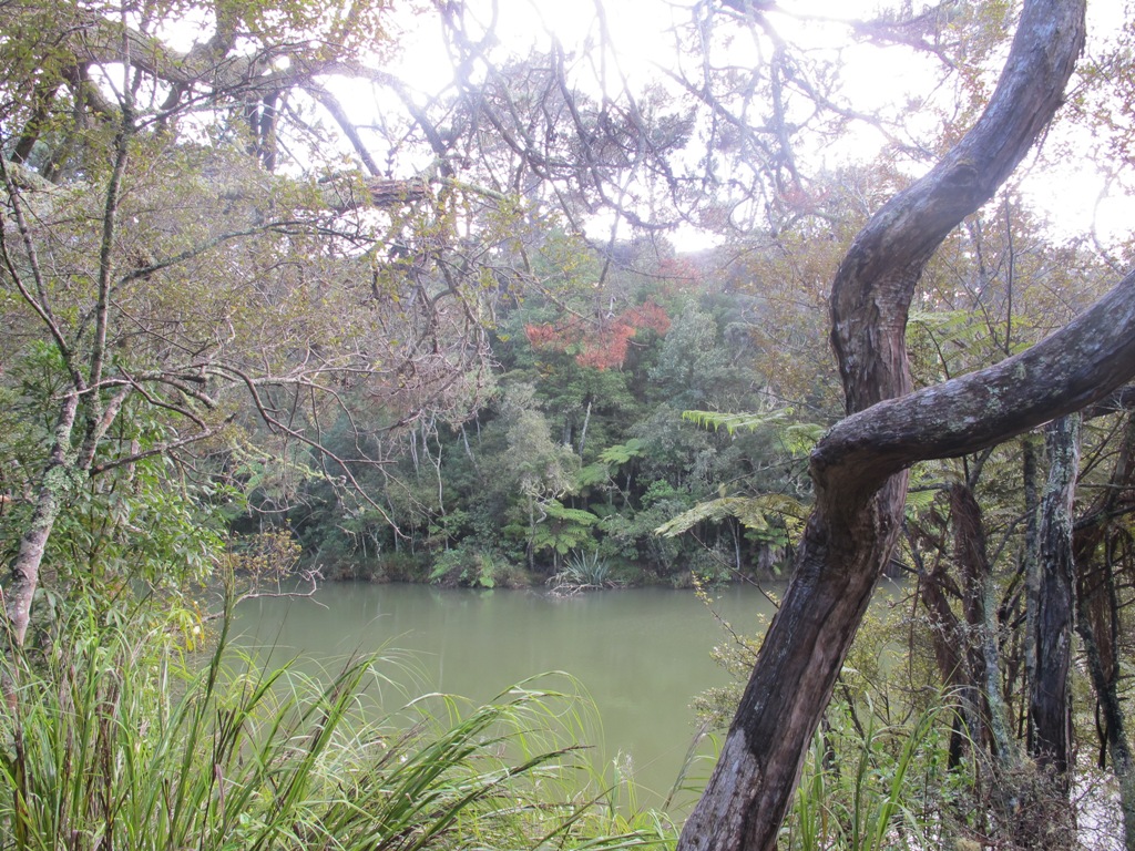 Chelsea Heritage Park Loop - Freewalks.nz