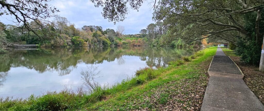 Herald Island Path on the North Shore in Auckland by Freewalks.nz