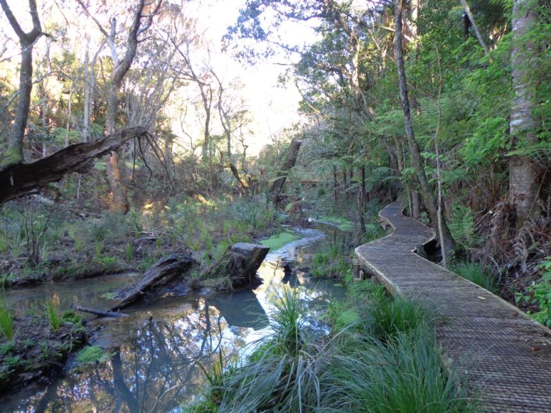 Northcote Walks, Auckland - Freewalks.nz