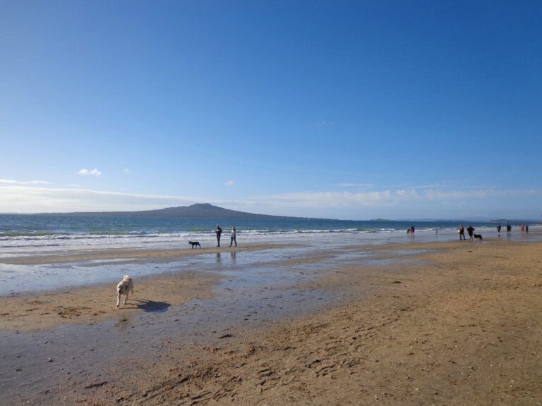 Takapuna Walks, Auckland - Freewalks.nz