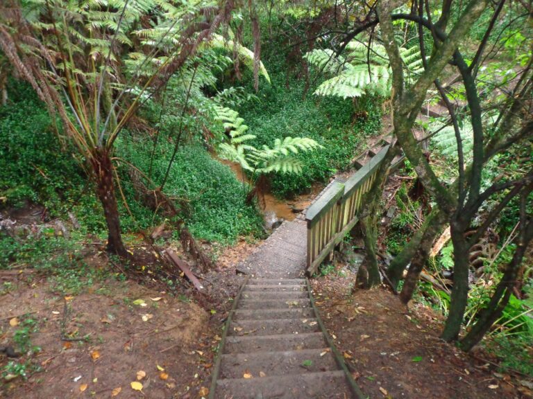 Auckland Walks and Hiking Guide | Freewalks.nz