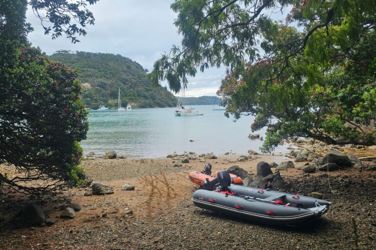 Kiwiriki Bay Lookout Walk - Freewalks.nz