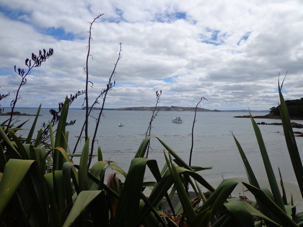 Tiritiri Matangi Island Walk - Freewalks.nz