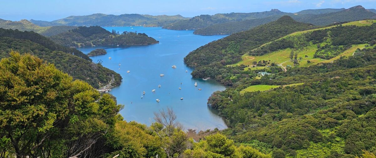 Kiwiriki Bay Lookout Walk - Freewalks.nz