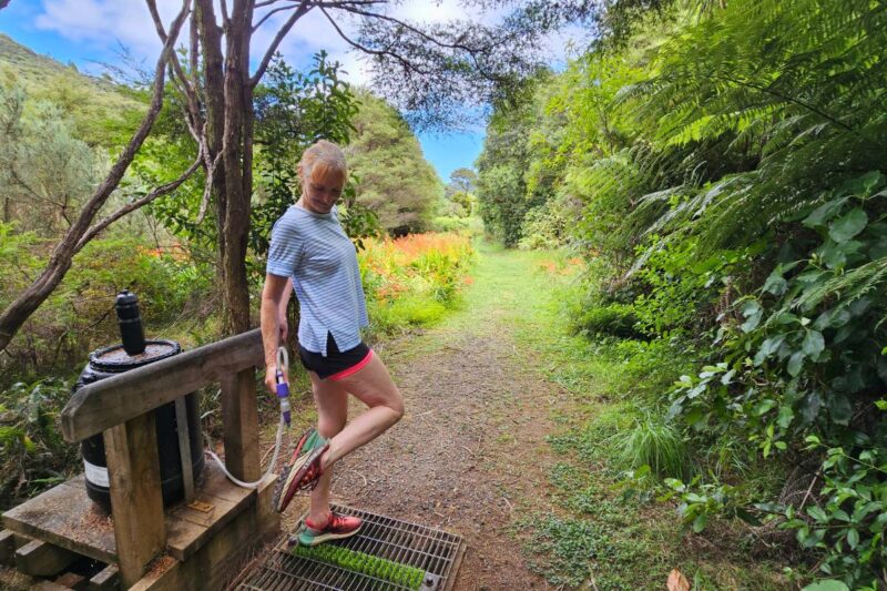 Warren's Waterfall Track - Freewalks.nz