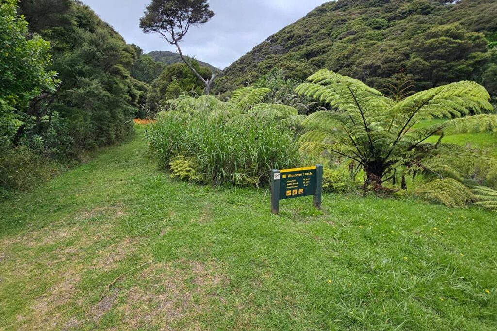 Warren's Waterfall Track - Freewalks.nz