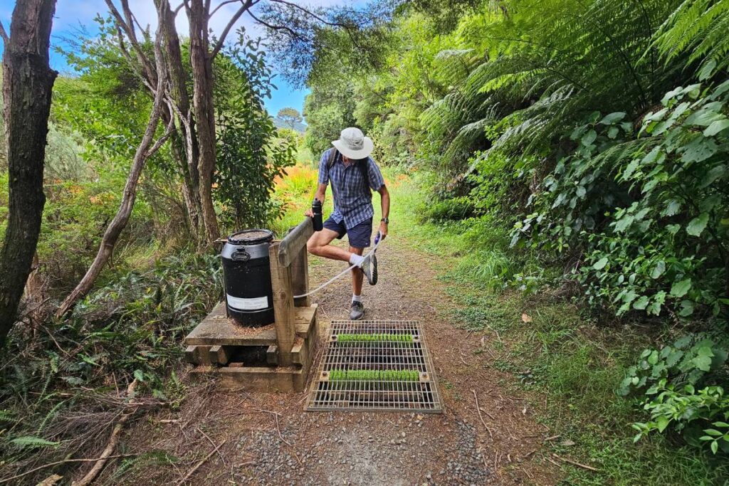Warren's Waterfall Track - Freewalks.nz
