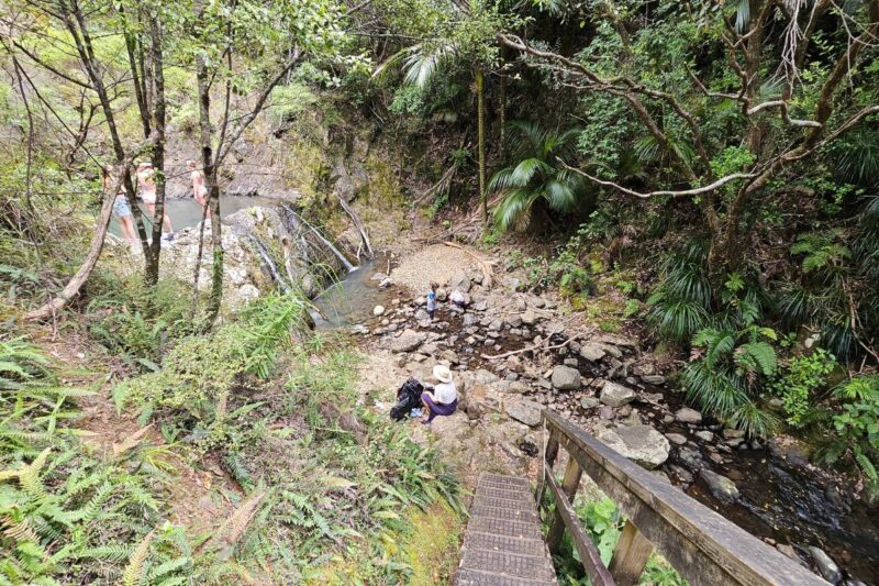 Warren's Waterfall Track - Freewalks.nz