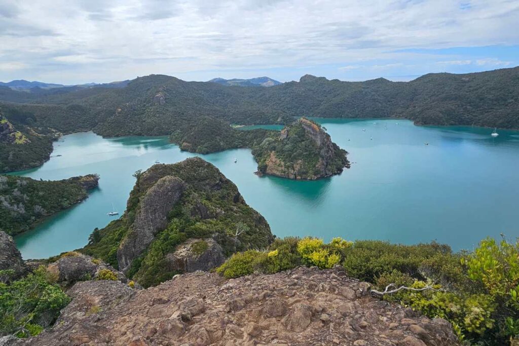 Duke's Nose Track - Freewalks.nz