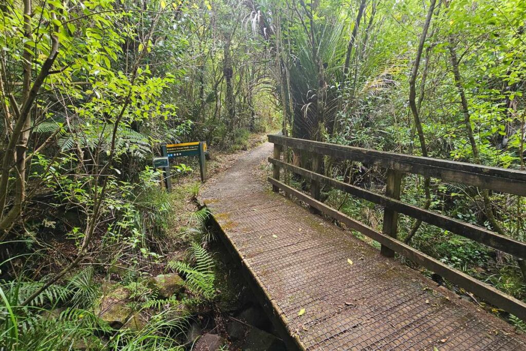 Duke's Nose Track - Freewalks.nz
