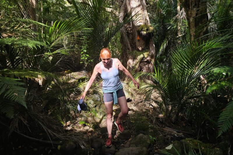 Wairakau Stream Track - Freewalks.nz