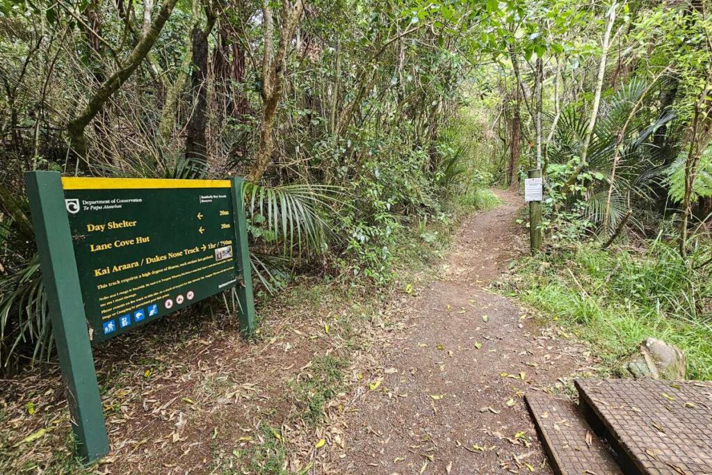 Duke's Nose Track - Freewalks.nz