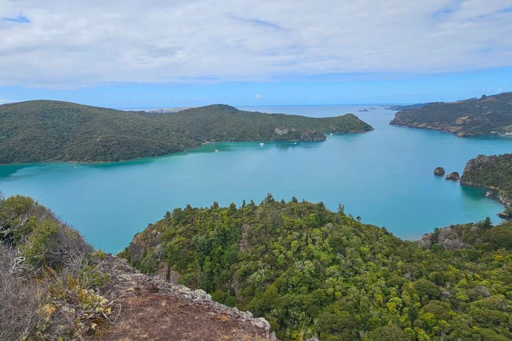 Duke's Nose Track - Freewalks.nz